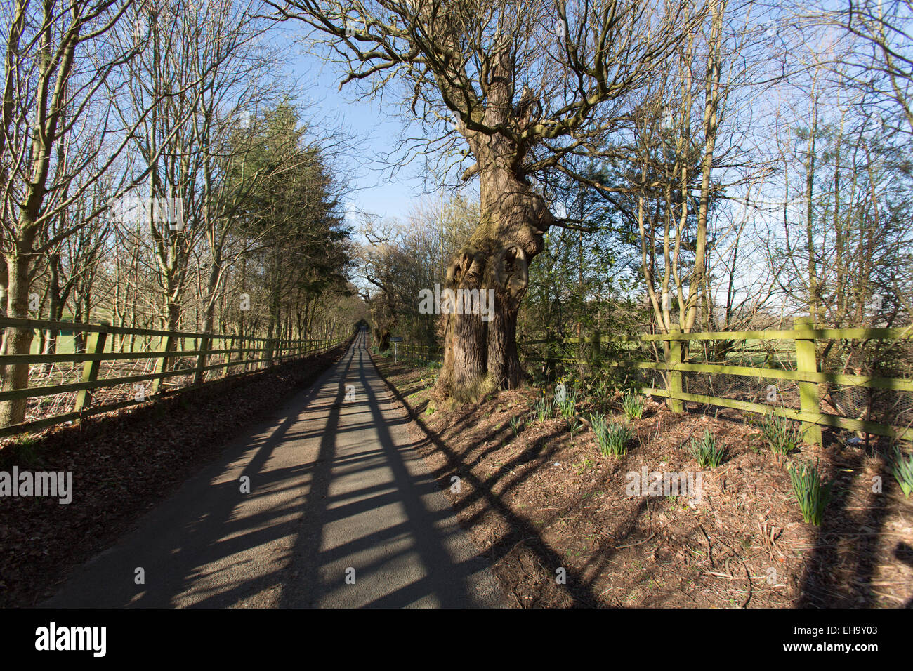 Carden cheshire hi-res stock photography and images - Alamy