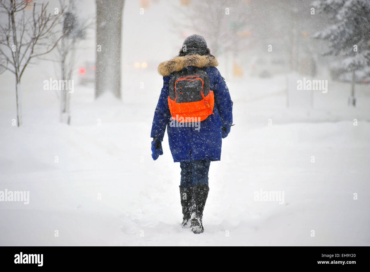 A woman walks through heavy falling snow in Canada Stock Photo - Alamy