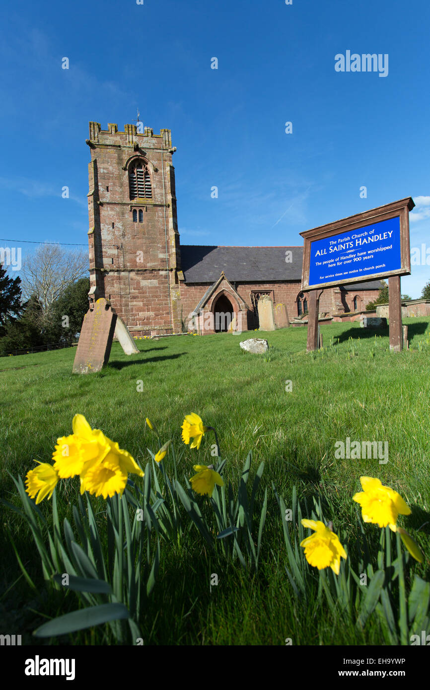 Village of Handley, England. Picturesque spring view of Handley’s All ...