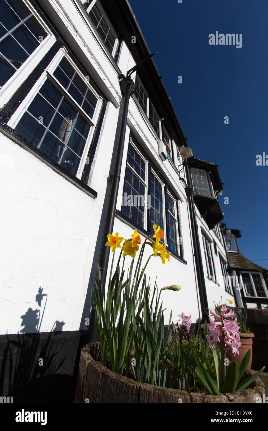 Village of Handley, England. Spring low angle view of Handley’s ...
