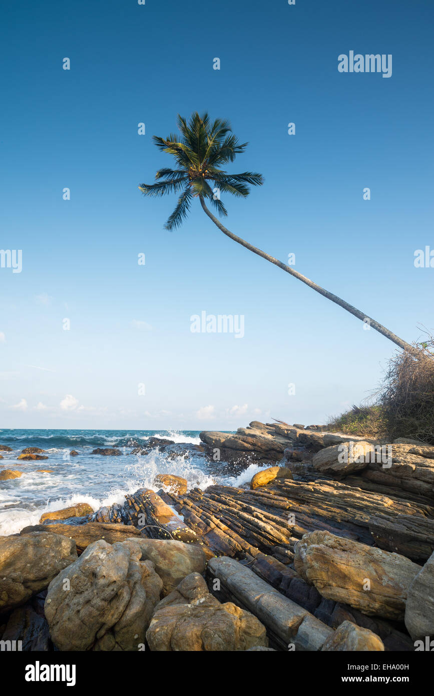Goyambokka beach, Tangalle, Sri Lanka, Asia Stock Photo - Alamy