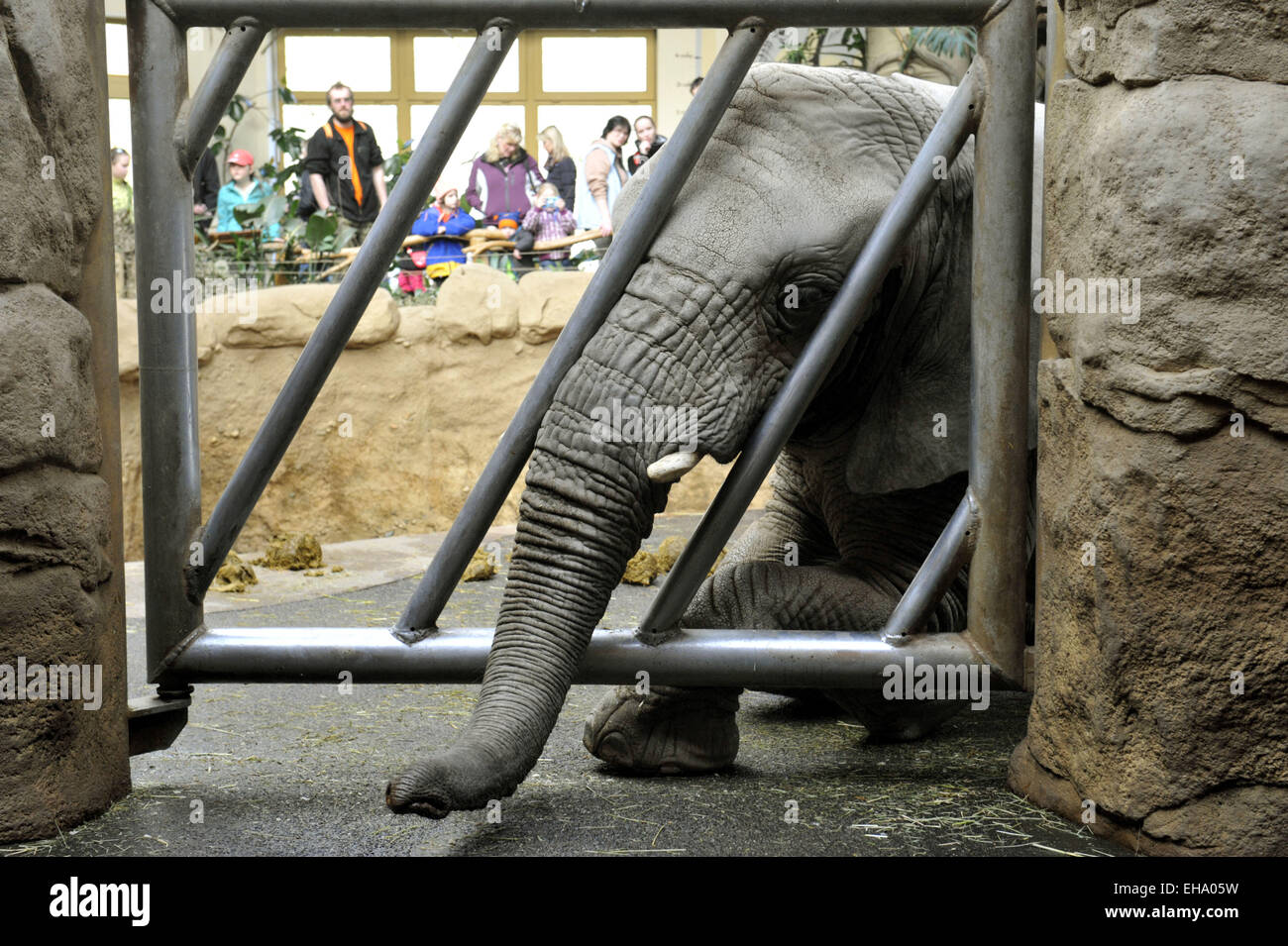 Handling Animals Stock Photos & Handling Animals Stock Images - Alamy