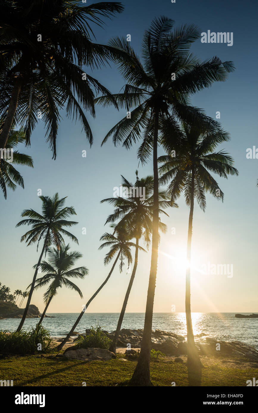 Tangalla bay sri lanka hi-res stock photography and images - Alamy