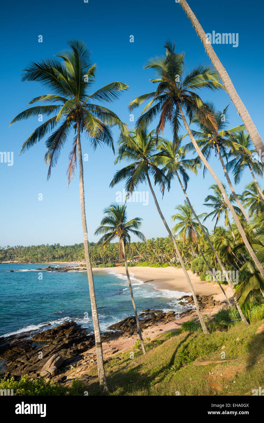 Goyambokka beach, Tangalle, Sri Lanka, Asia Stock Photo - Alamy