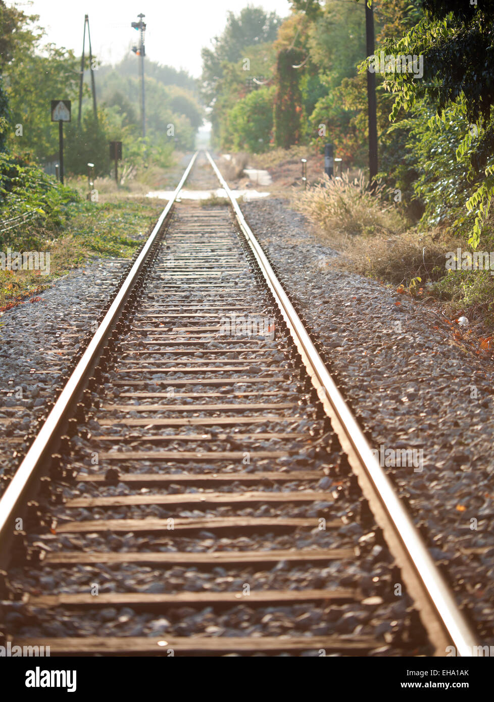 Track bush hi-res stock photography and images - Alamy