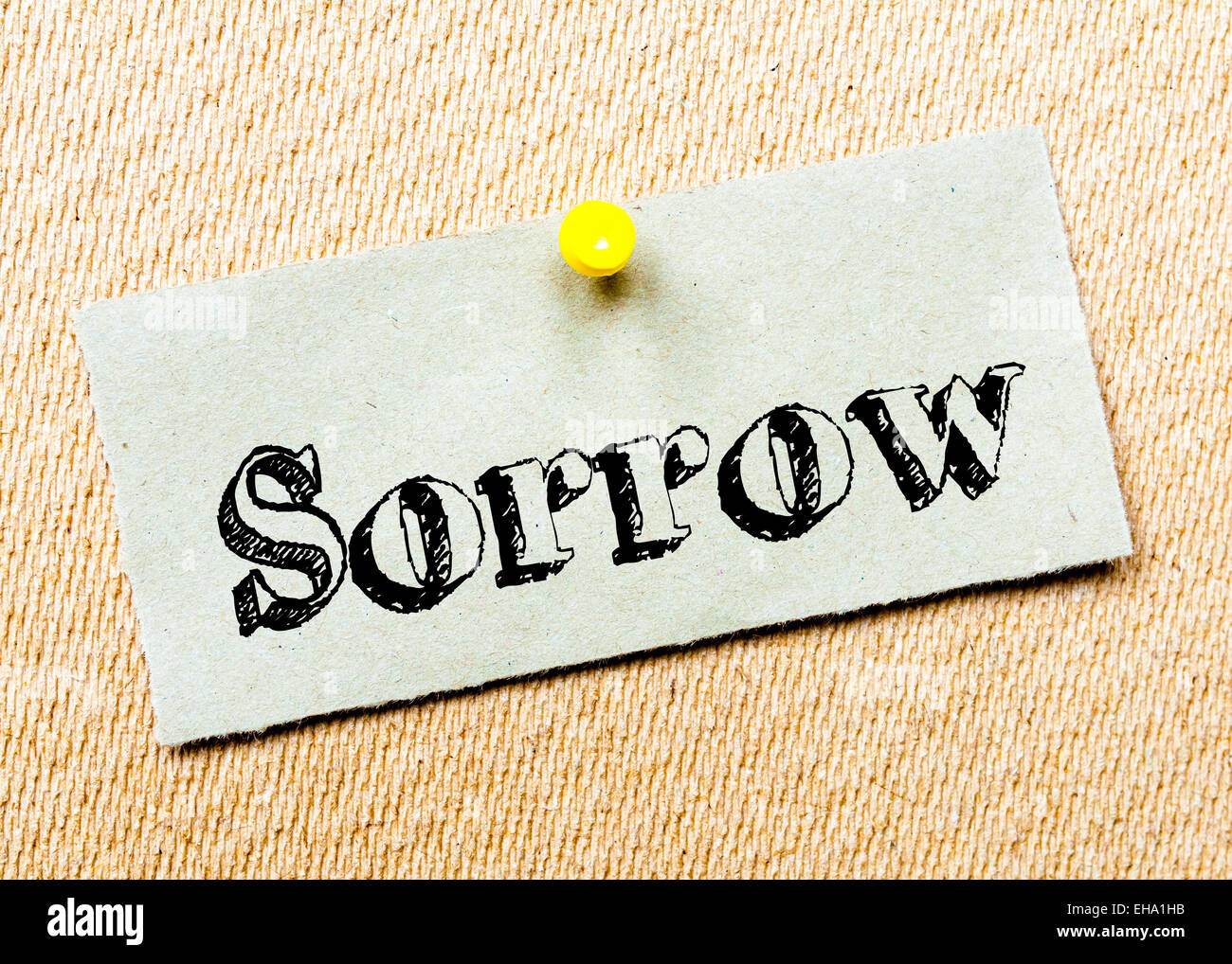 Recycled paper note pinned on cork board. Sorrow Message. Concept Image ...