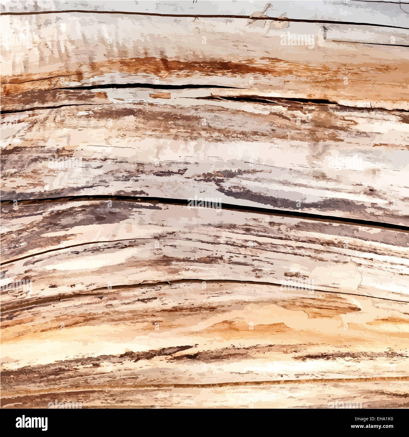Dry Wood Color Stock Photo - Alamy