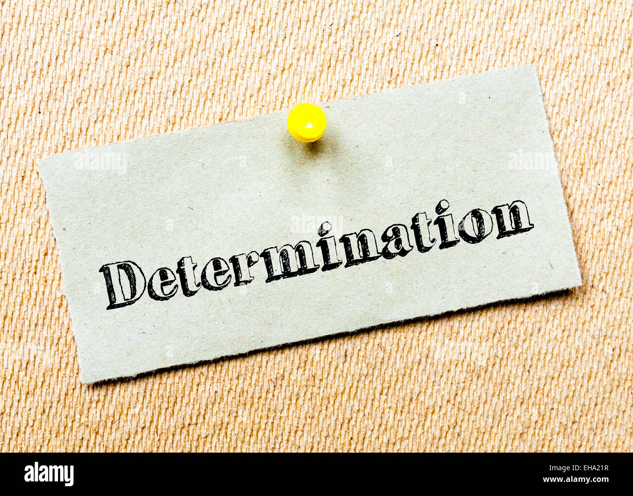 Recycled paper note pinned on cork board. Determination Message ...
