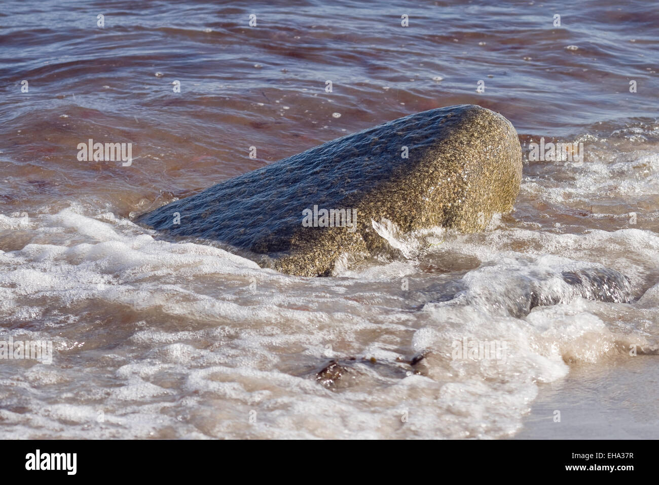 Small rock on the beach at Hou, Denmark Stock Photo - Alamy