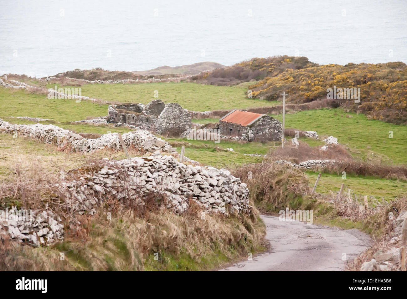 Cape Clear Island,Ireland Stock Photo - Alamy