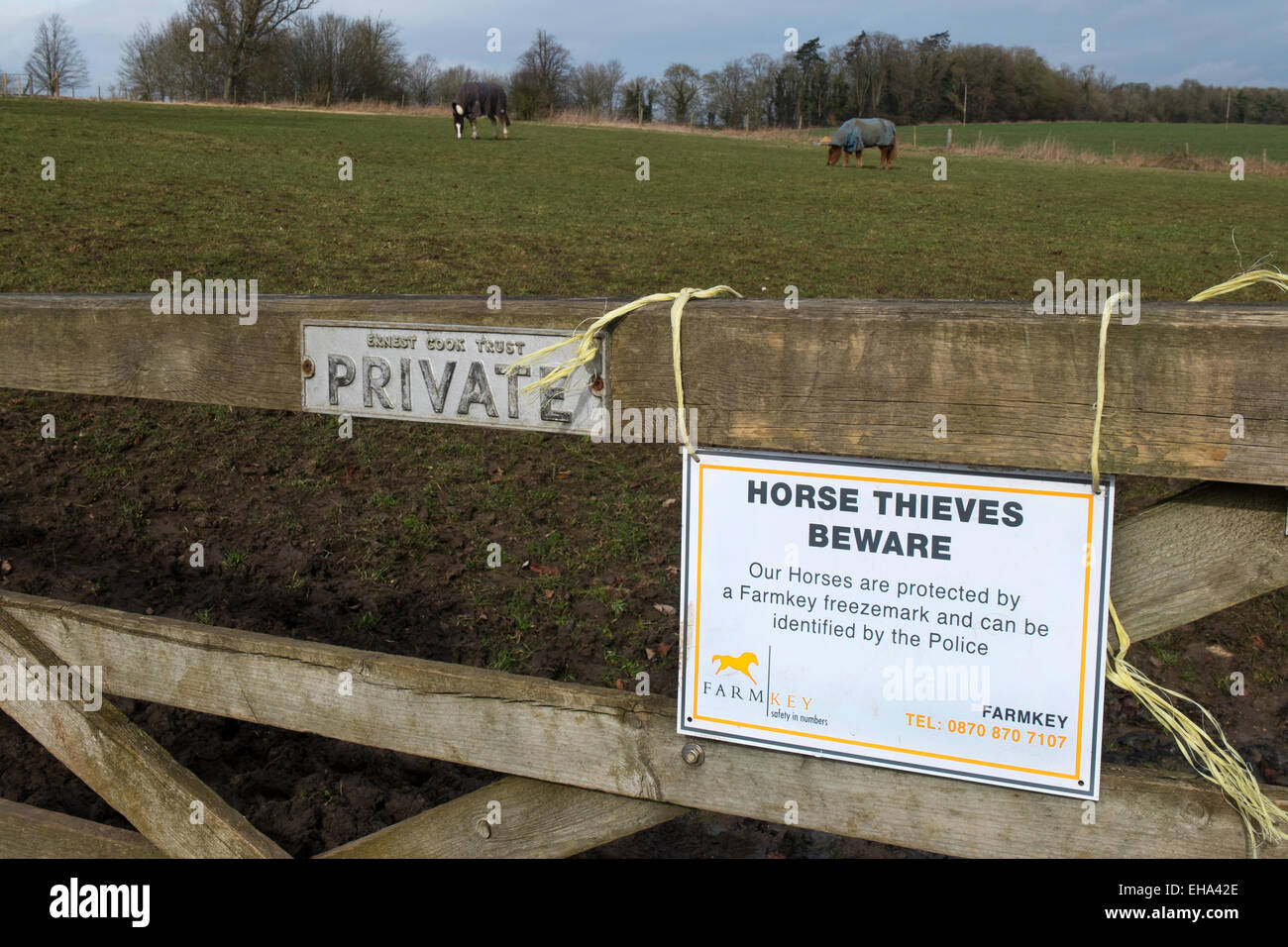 A sign warning horse thieves that these horses are protected by the ...