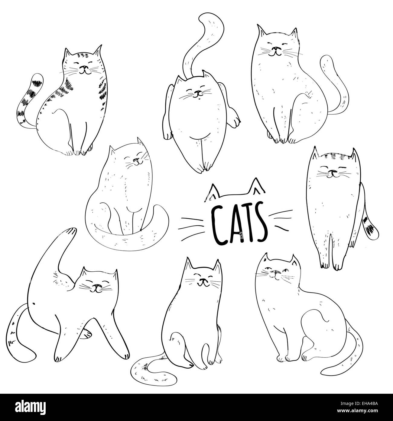 Collection of cats. Set of hand drawn graphic illustrations Stock Photo ...