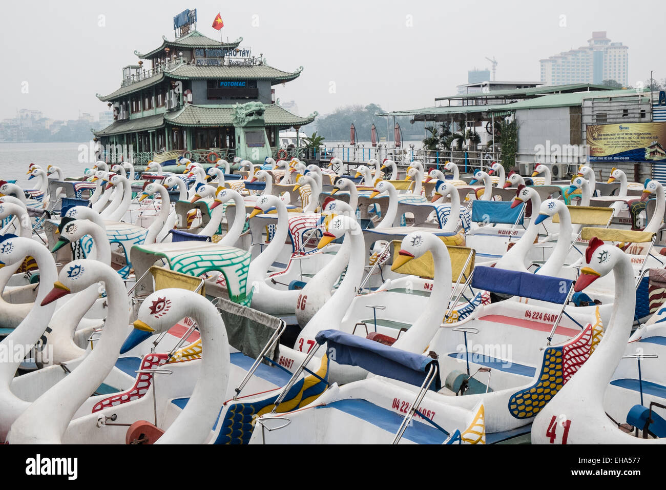 Swan bird pedalo peddle boats on hi-res stock photography and images ...