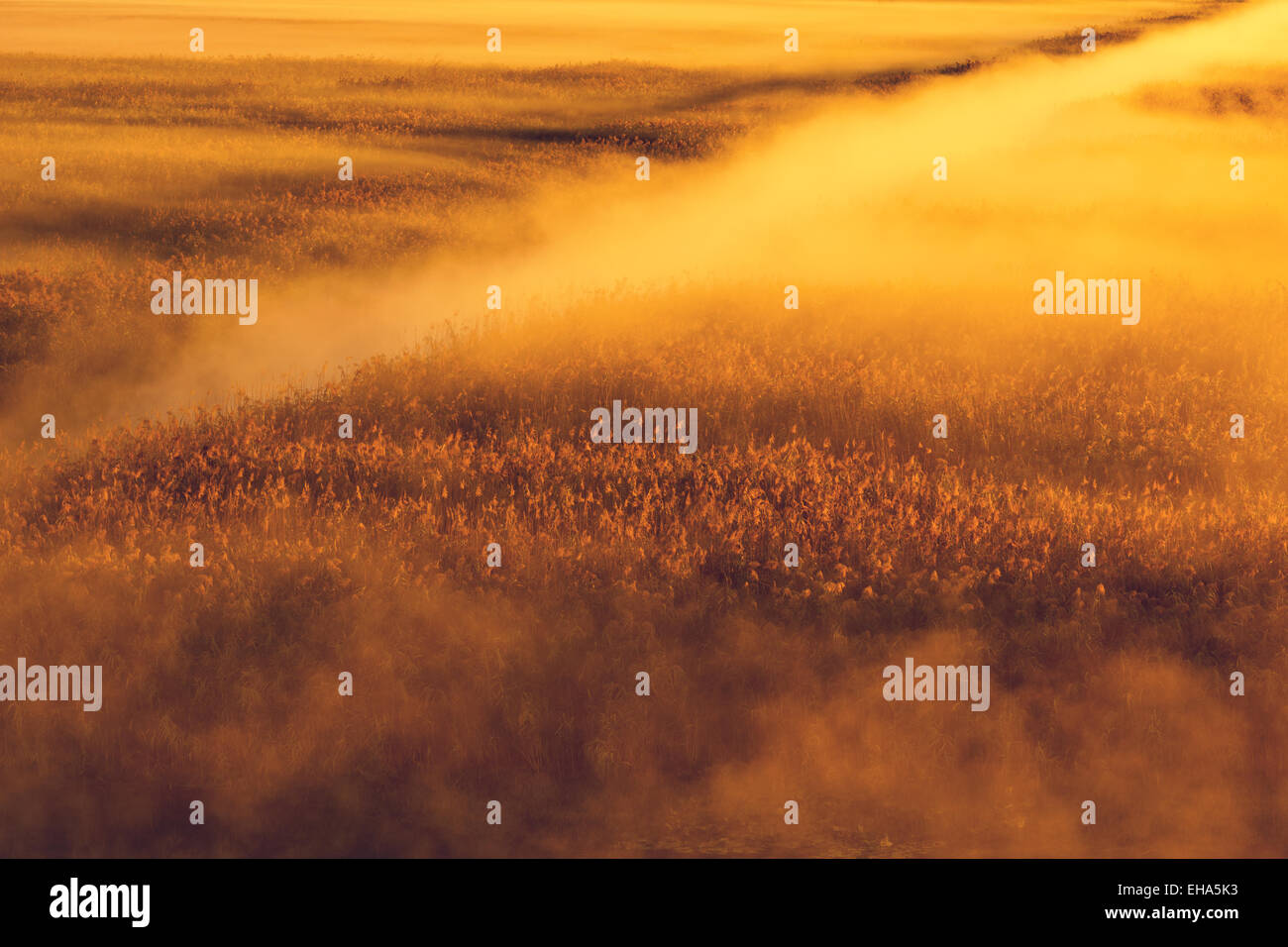 Nightmare landscape hi-res stock photography and images - Alamy