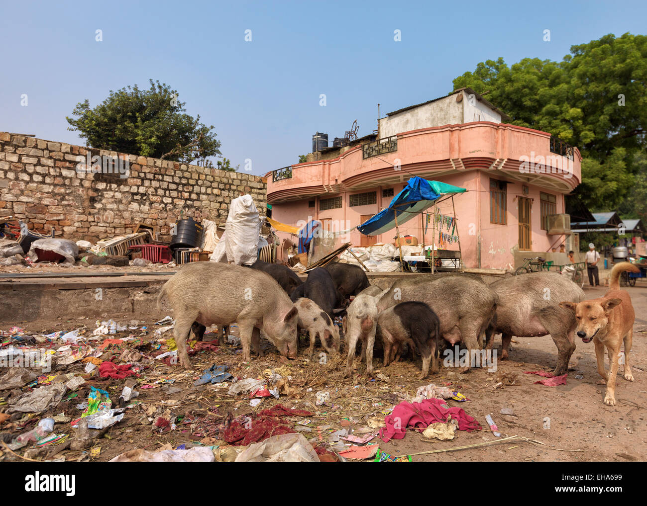 Indian disposal dump in the street Stock Photo - Alamy