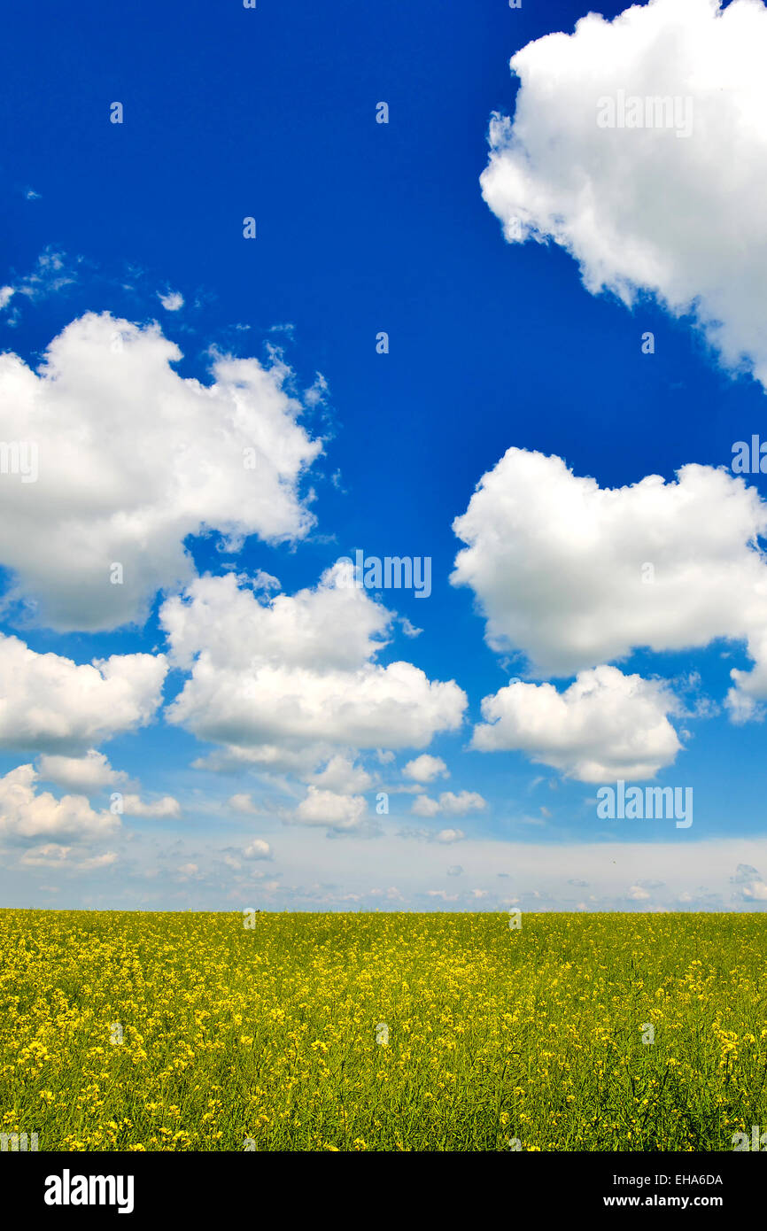 Beautiful field and sky hi-res stock photography and images - Alamy