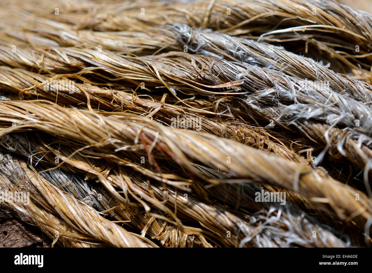 Breaking rope hi-res stock photography and images - Alamy