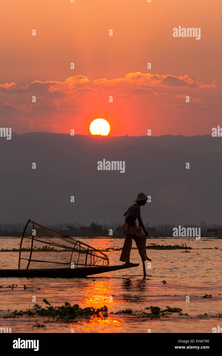 A leg rowing fisherman and his cone shaped net, fishing at sunset, Inle ...