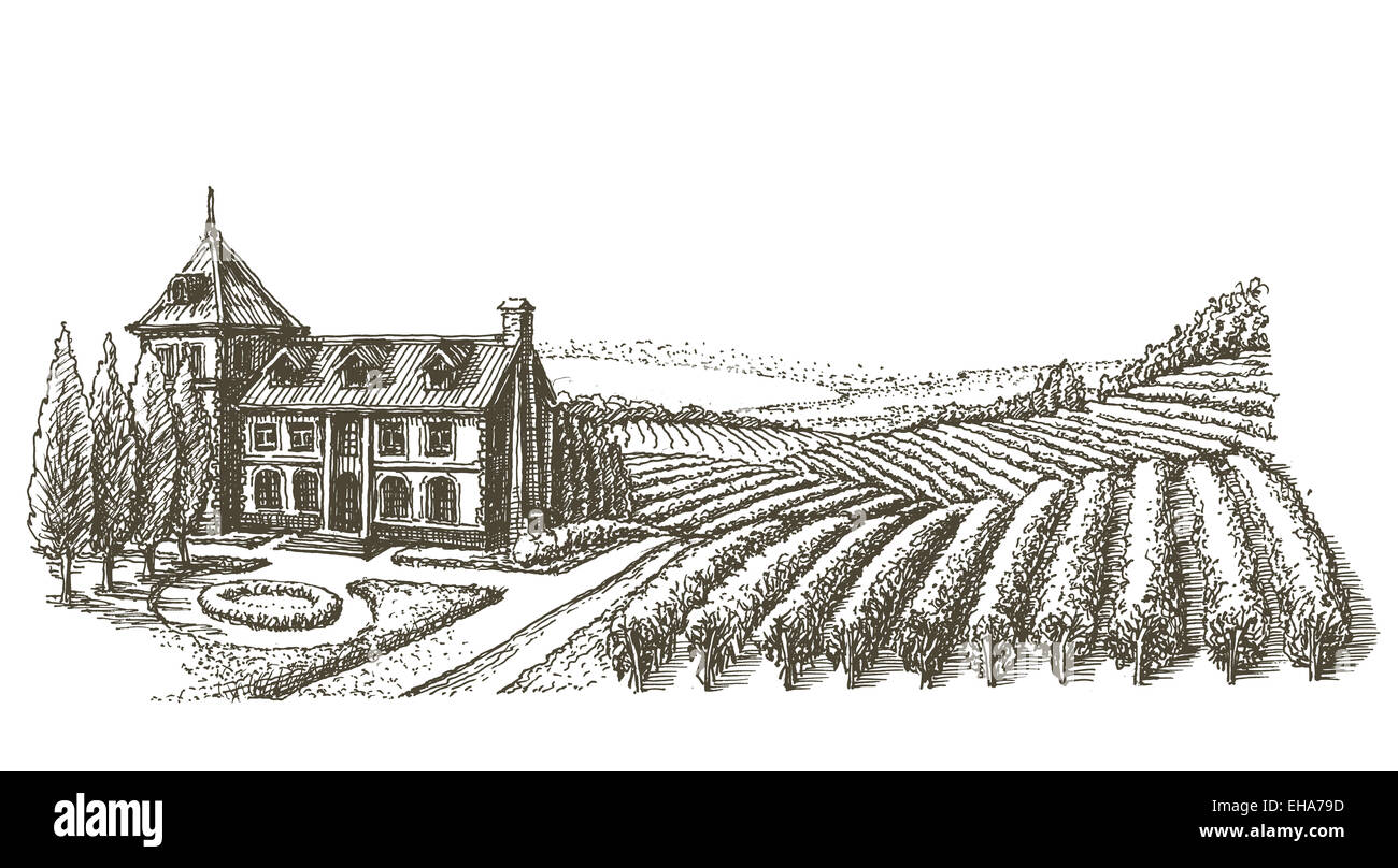 Organic landscape logo design Cut Out Stock Images & Pictures - Alamy