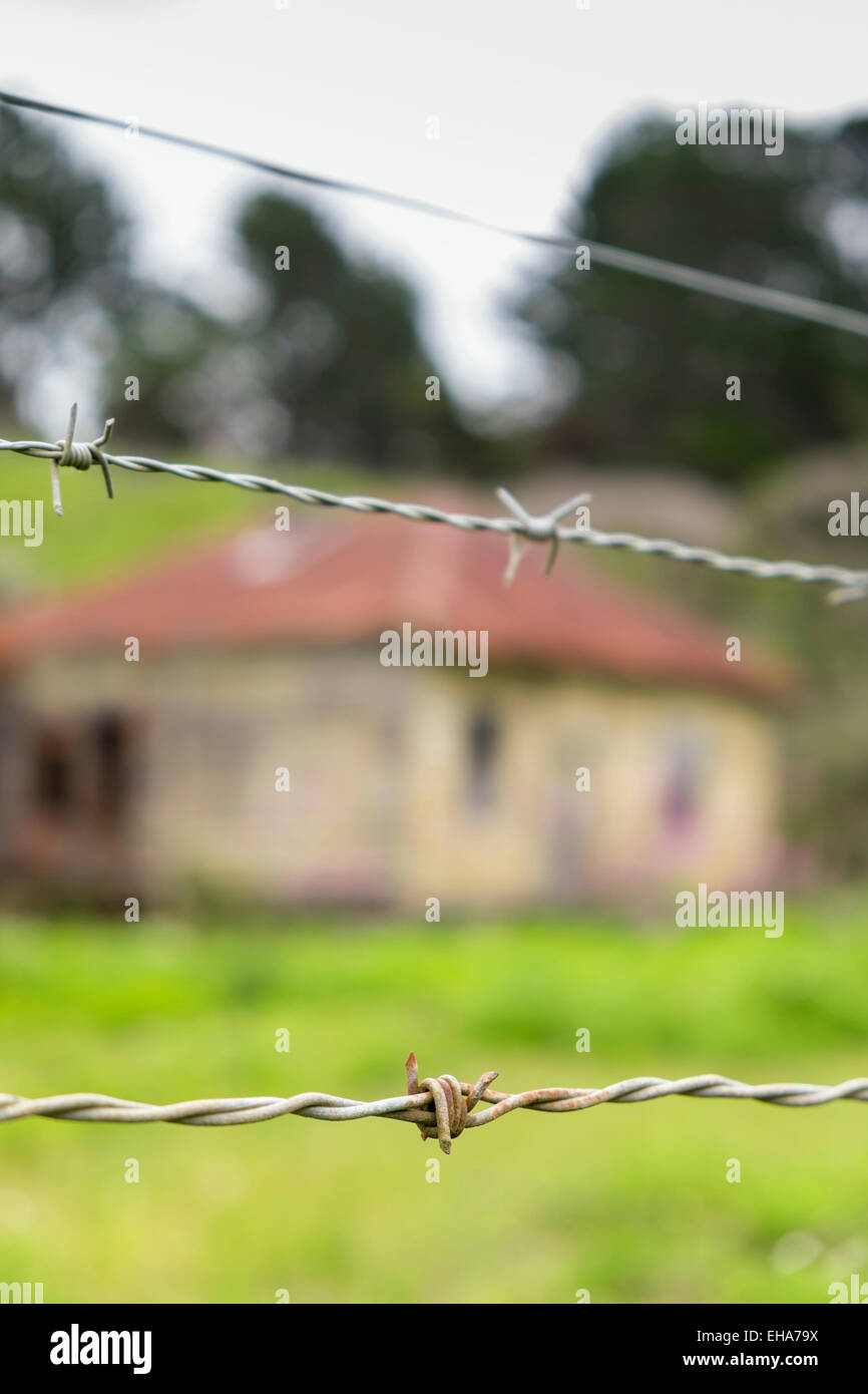Old neglected abandoned farm in Coromandel, New Zealand Stock Photo - Alamy
