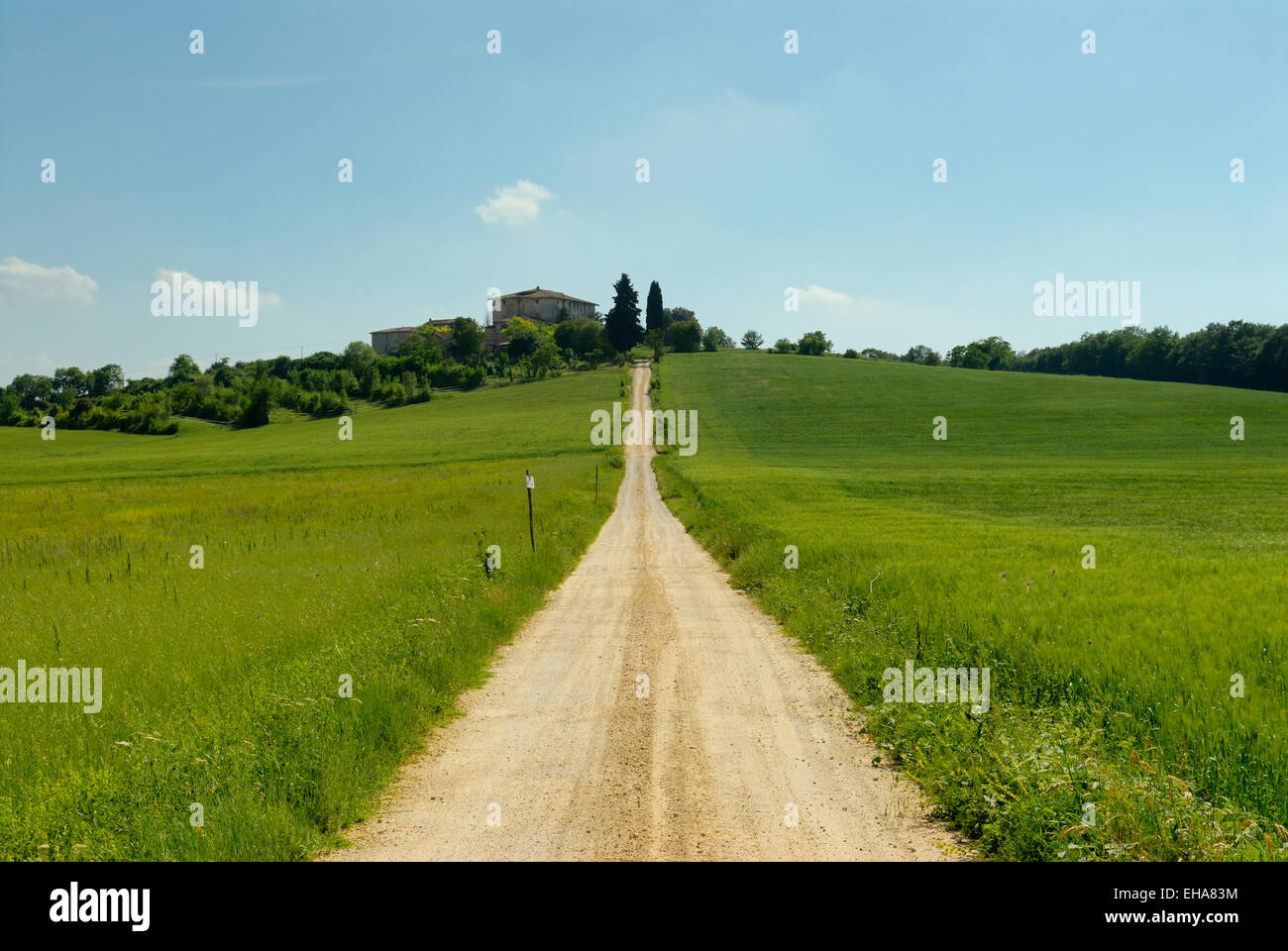 Country road through landscape, Tuscany, Italy Stock Photo - Alamy