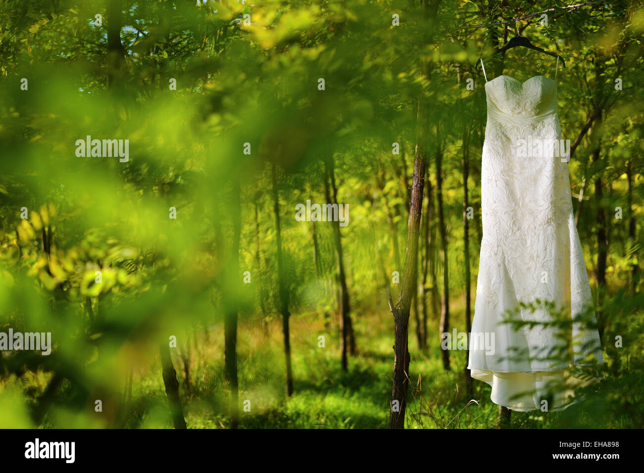 Tree embroidery wedding hi-res stock photography and images - Alamy
