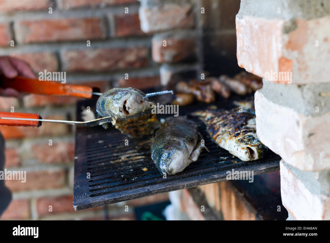 Fish seated on brick barbecue fried in natural light Stock Photo - Alamy