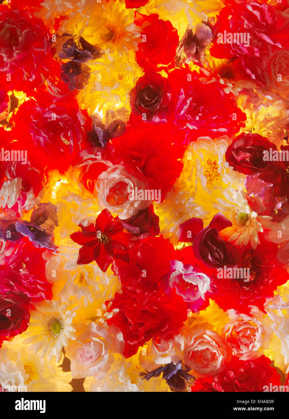 Presenting a flower hi-res stock photography and images - Alamy