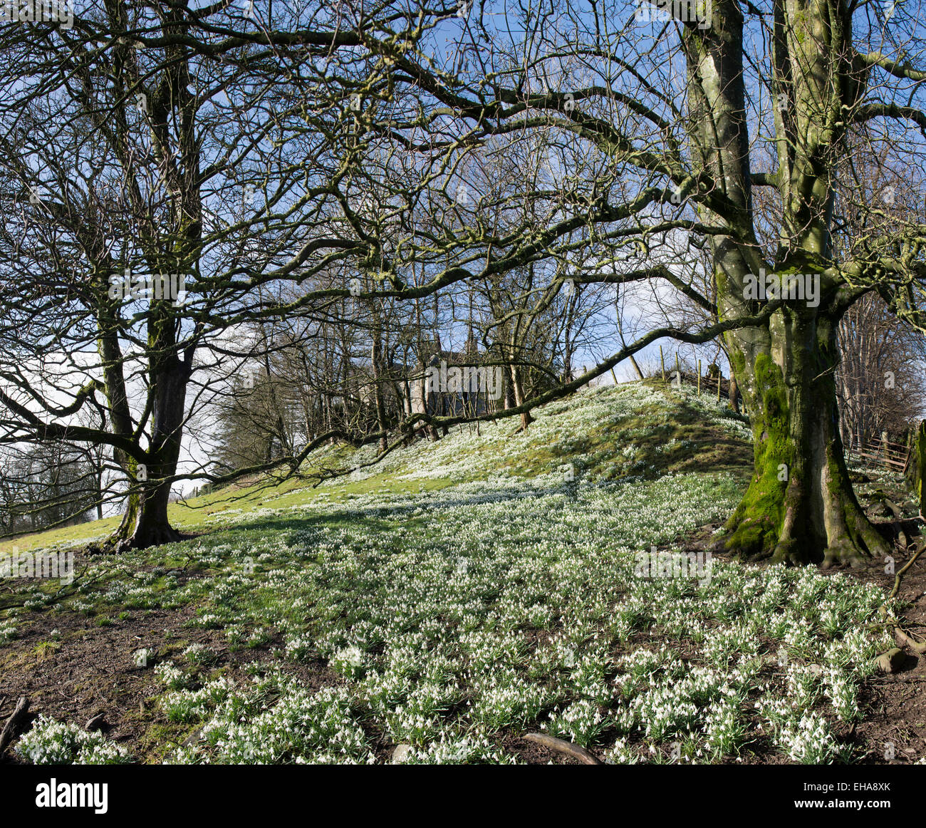 Shaped borders hi-res stock photography and images - Alamy