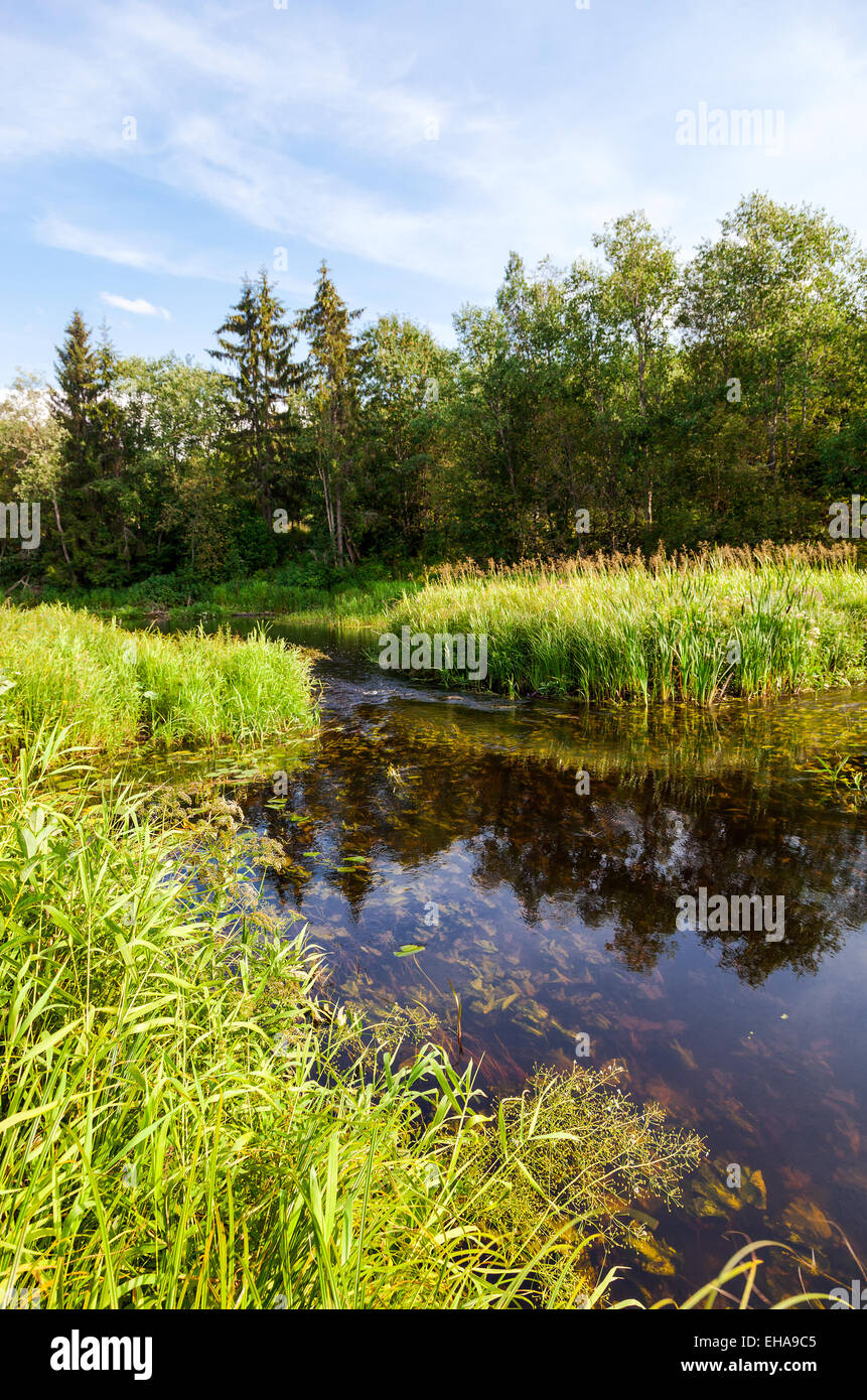 Beautiful summer landscape with small tranquil river in sunny day Stock ...