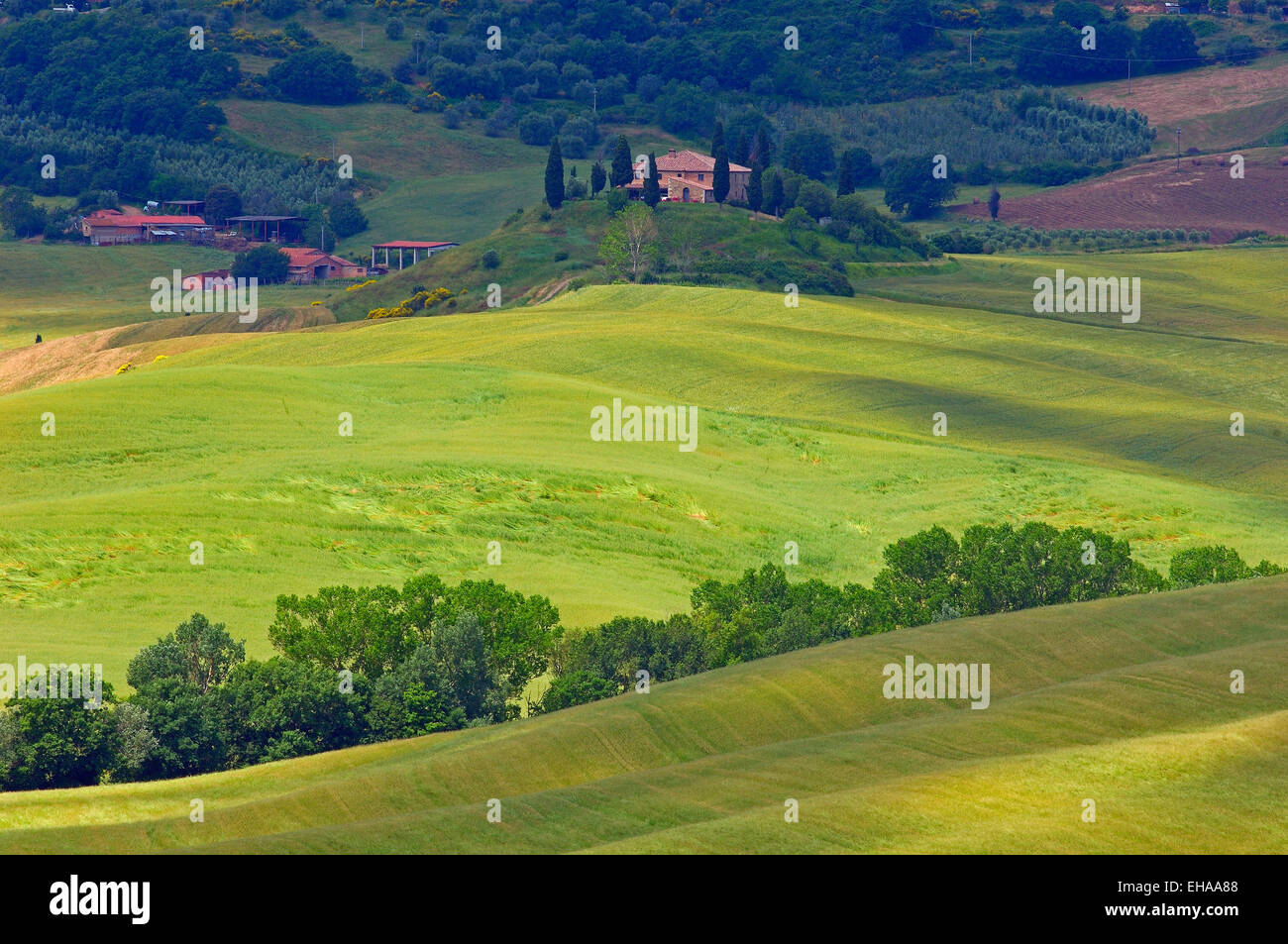 Val d´Orcia, Orcia Valley, Fields and Farmhouse, Tuscany Landscape ...