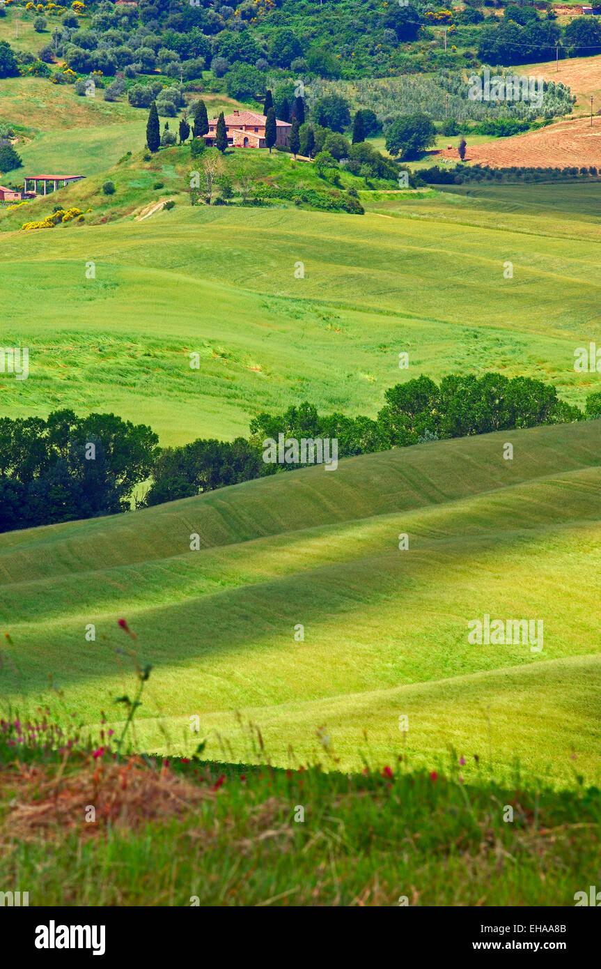 Val d´Orcia, Orcia Valley, Fields and Farmhouse, Tuscany Landscape ...