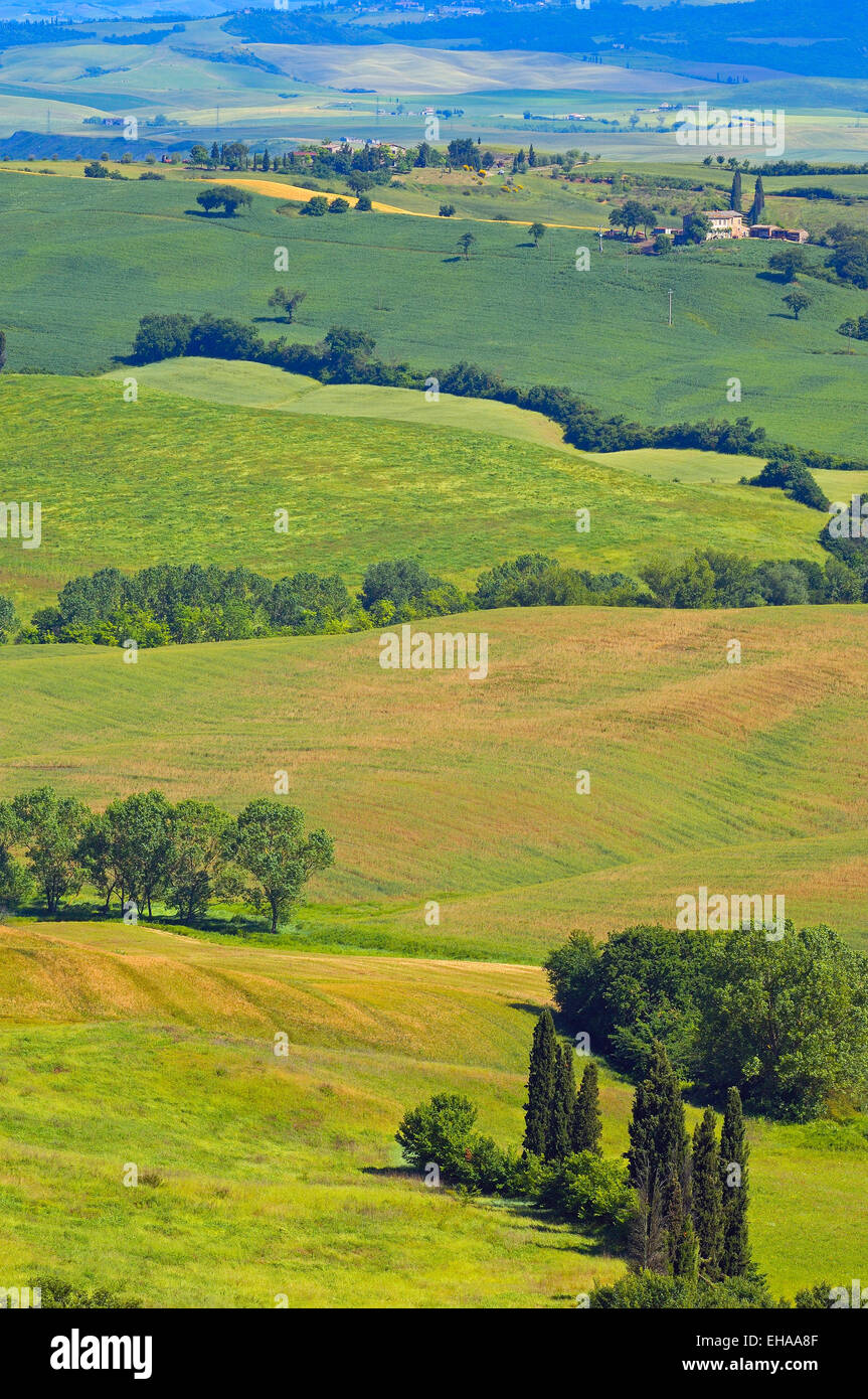 Val d´Orcia, Orcia Valley, Fields and Farmhouse, Tuscany Landscape ...
