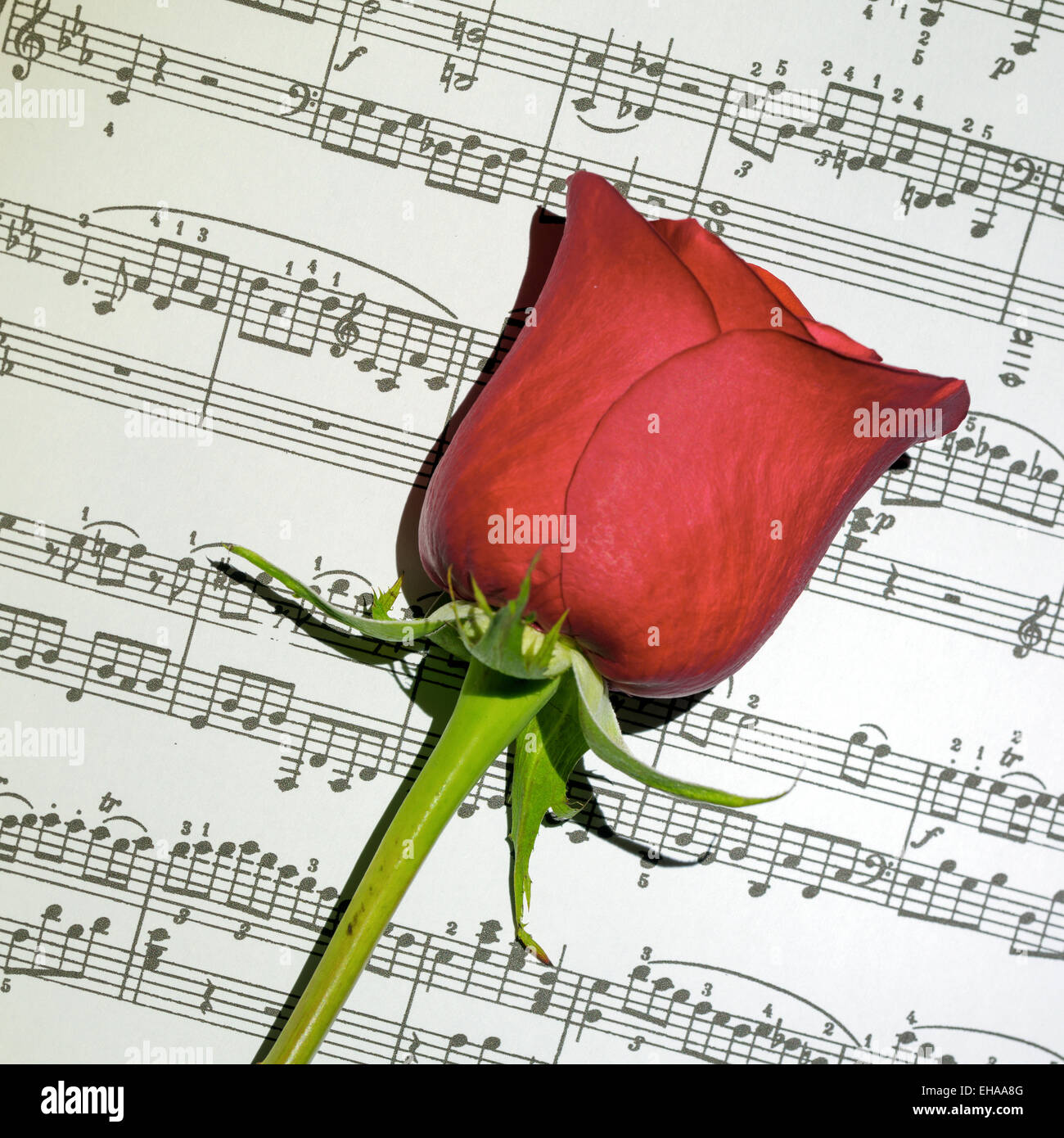 Musical flower arrangement hi-res stock photography and images - Alamy