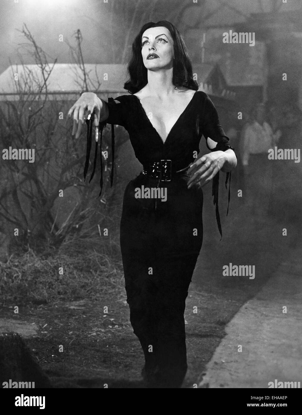 Vampira, on-set of the Film "Plan 9 From Outer Space", 1959 Stock Photo ...
