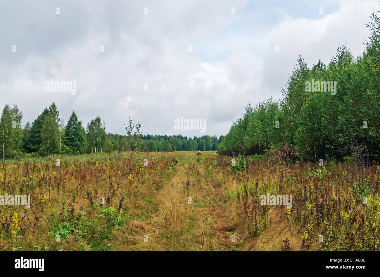 Grassed rows hi-res stock photography and images - Alamy