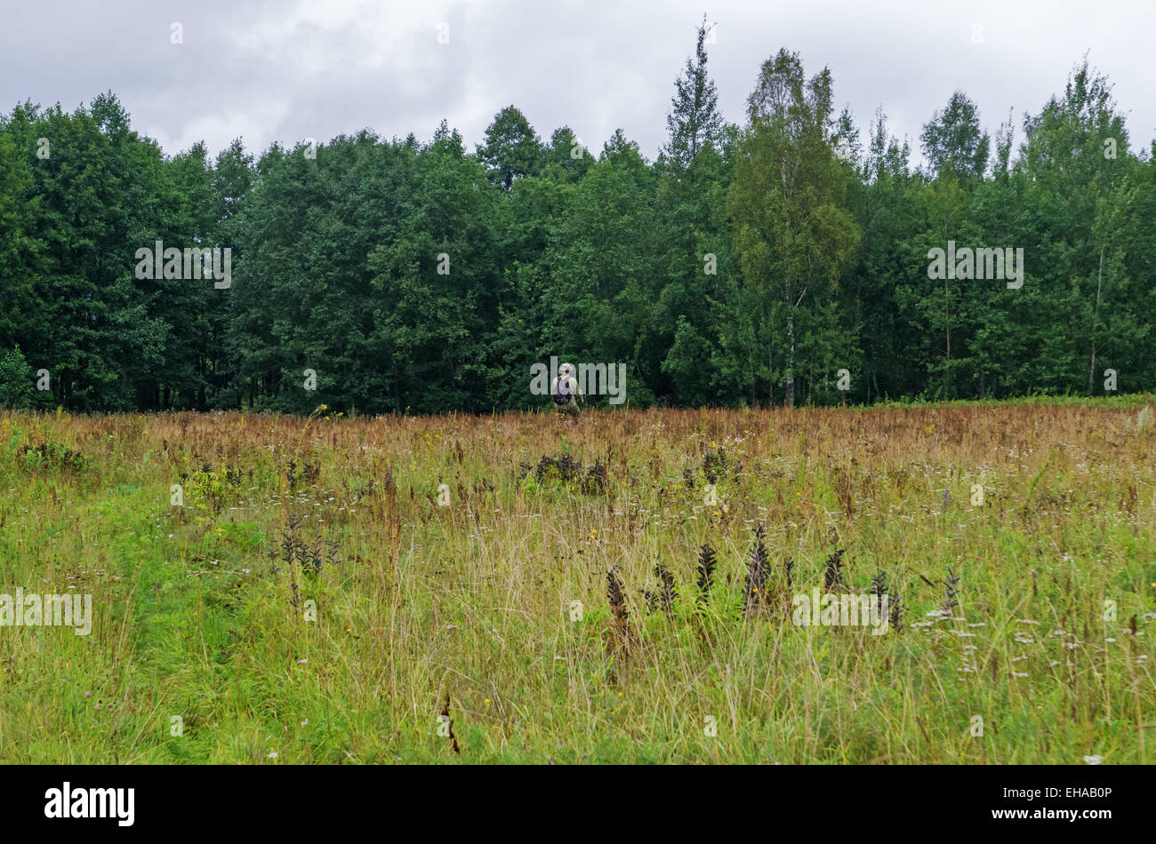 Grassed rows hi-res stock photography and images - Alamy
