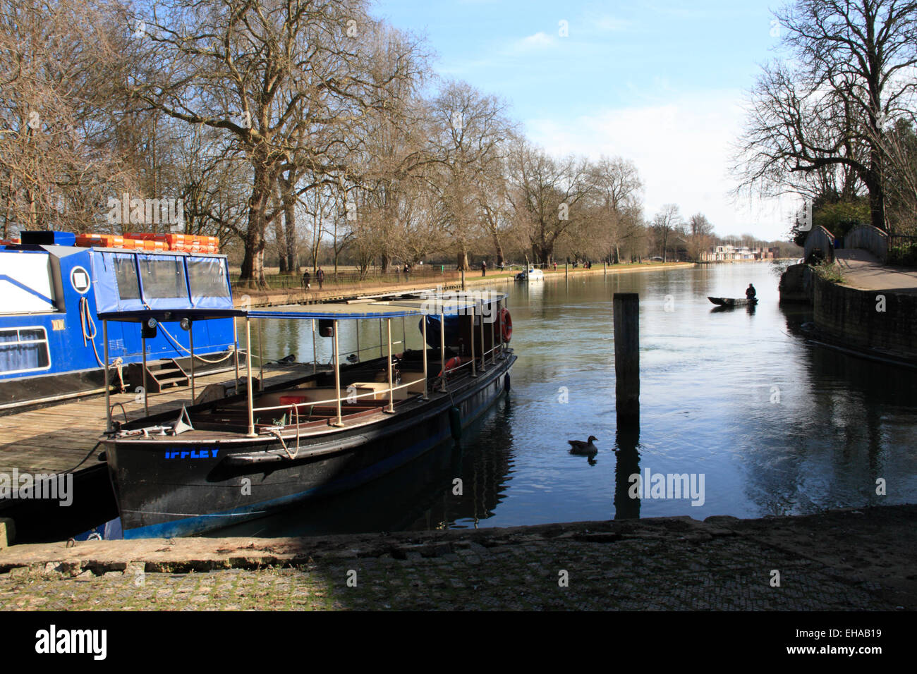 Salters duck hi-res stock photography and images - Alamy