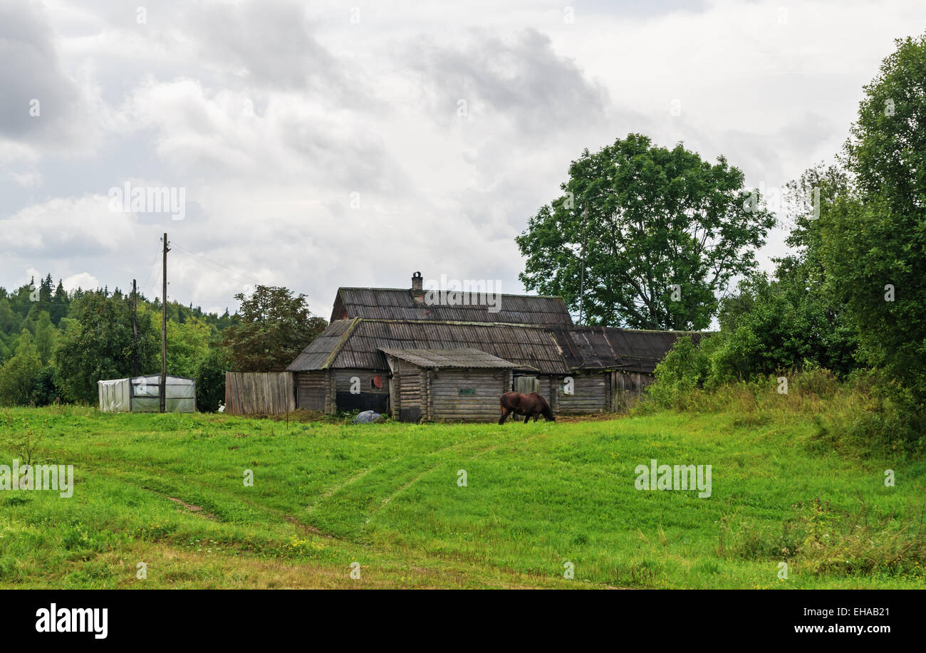 Pasture in village Stock Photo - Alamy