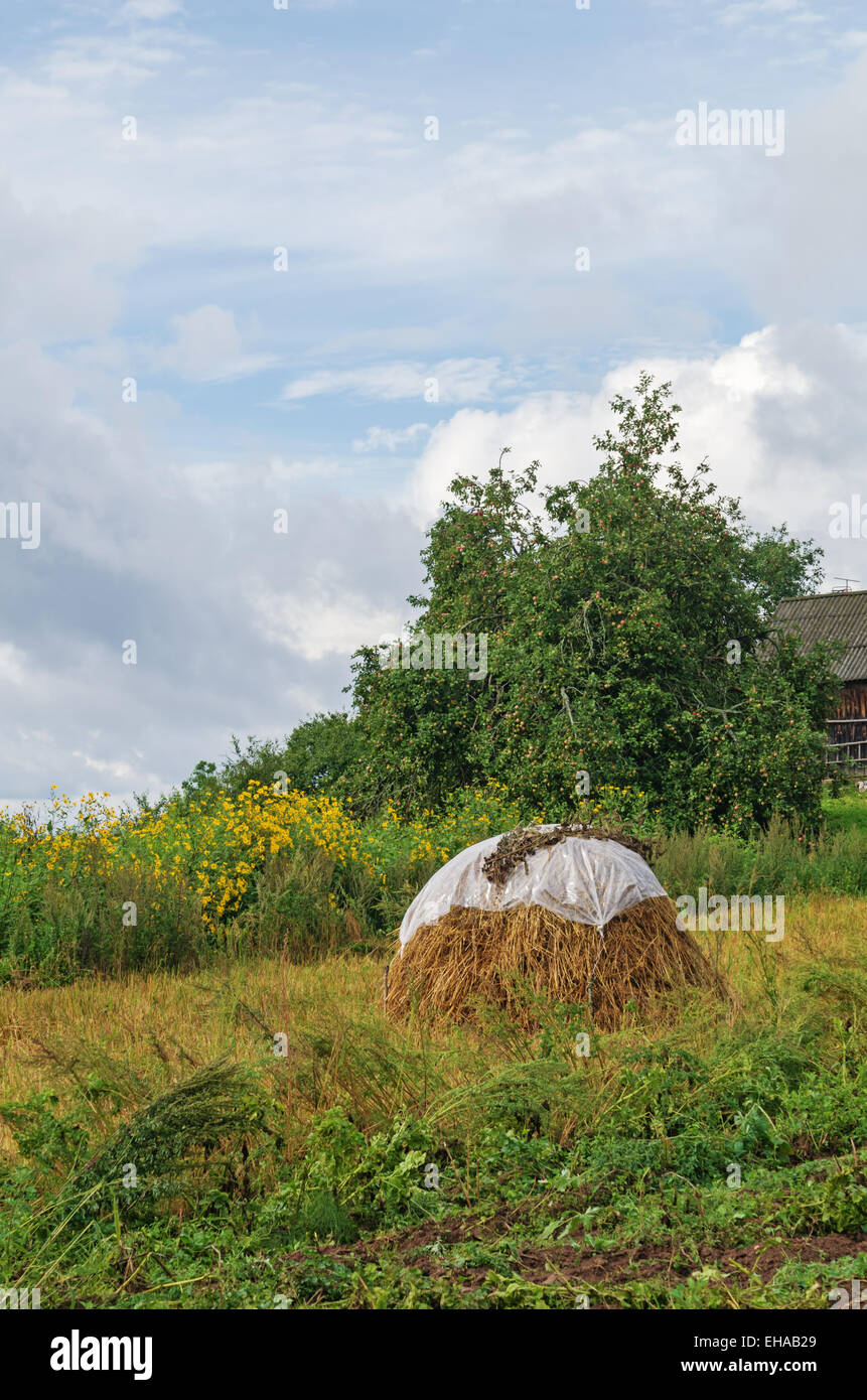 Haystack in village Stock Photo - Alamy