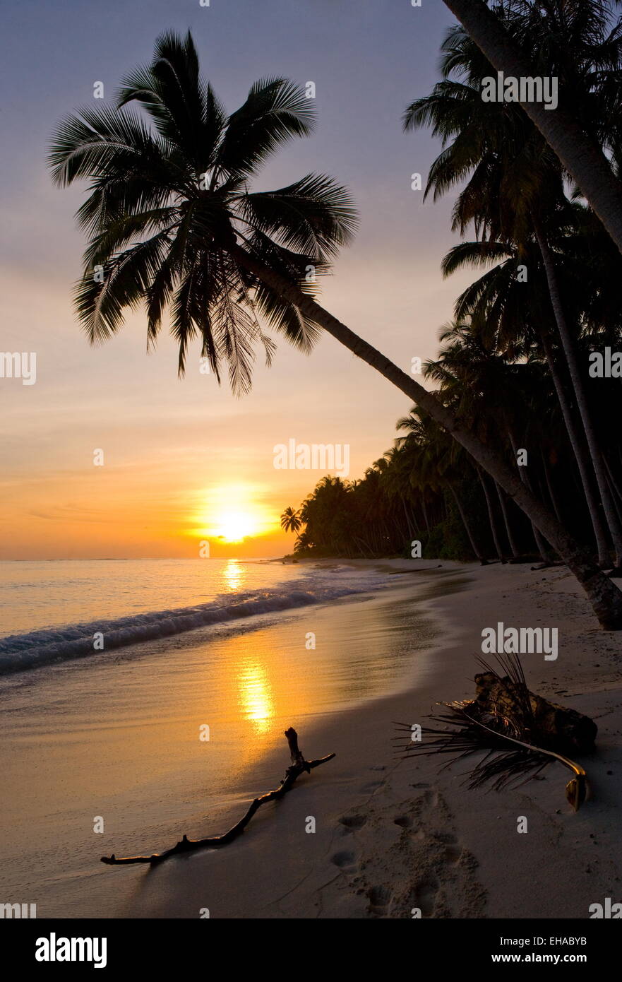 The beach on the tropical island. Dawn. Indonesia. Indian Ocean Stock ...
