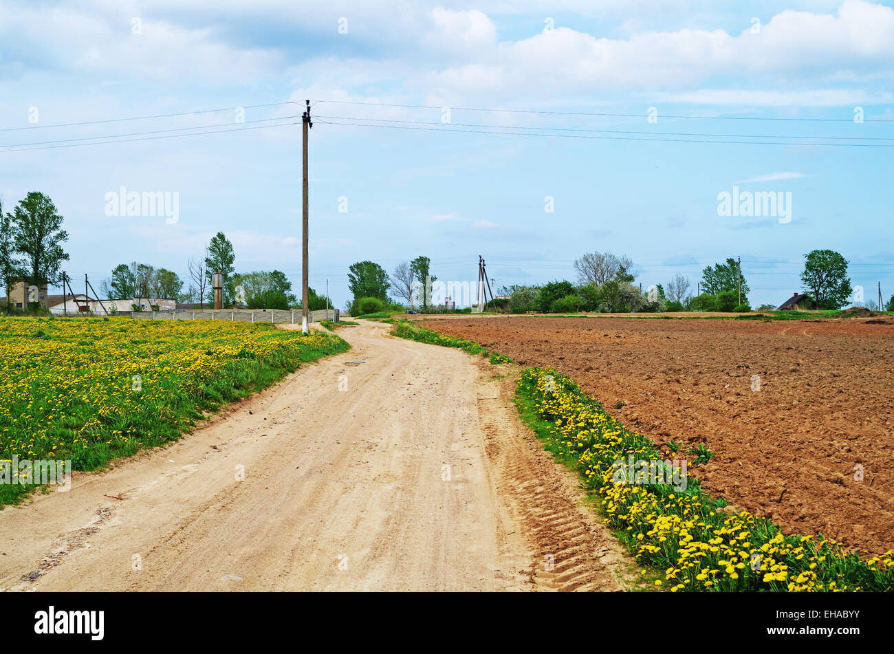 Spring rural landscape with yellow dandelion and the plowed field Stock ...