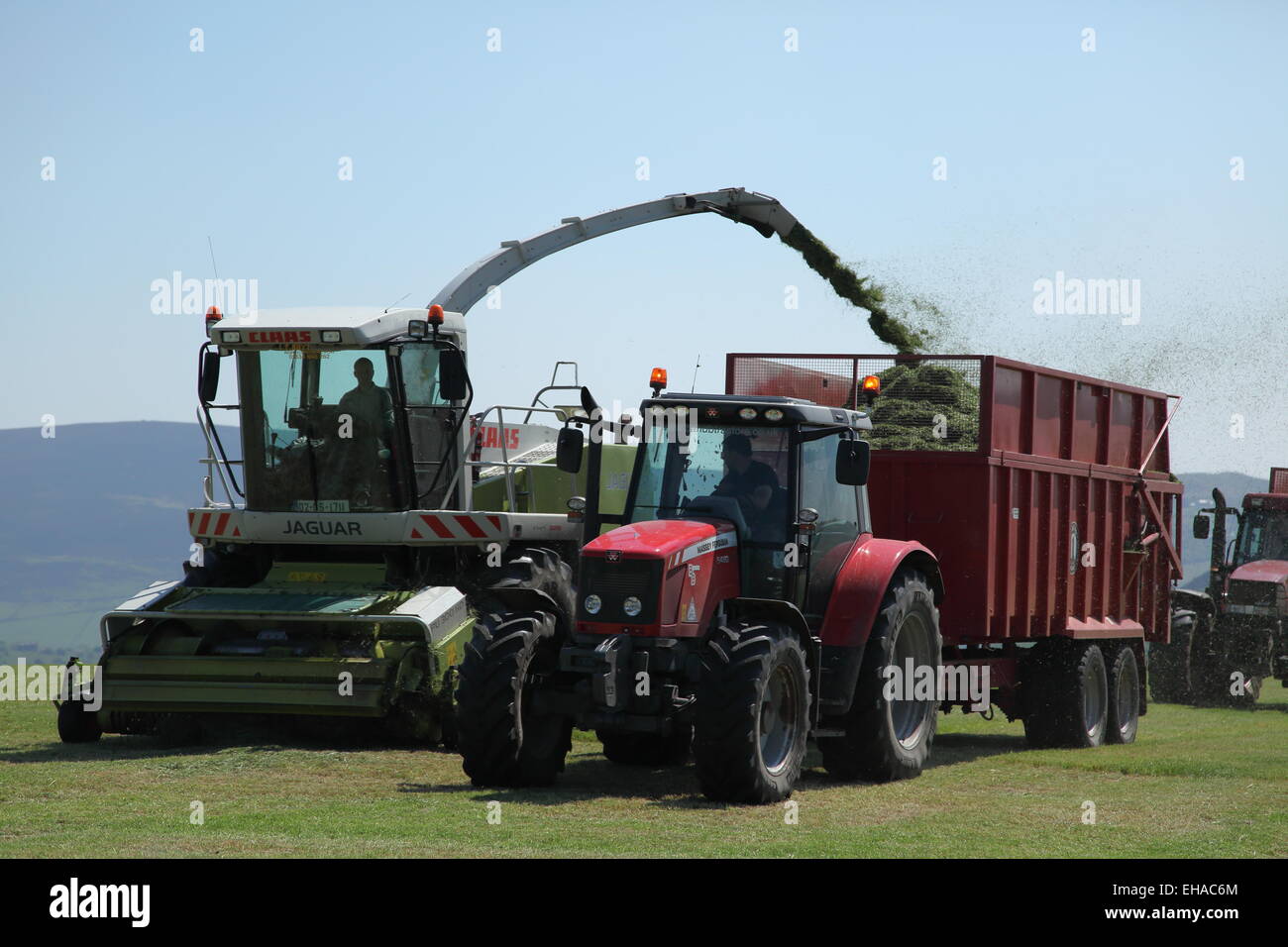 A combine harvester cutting grass and feeding it to a trailer that is ...