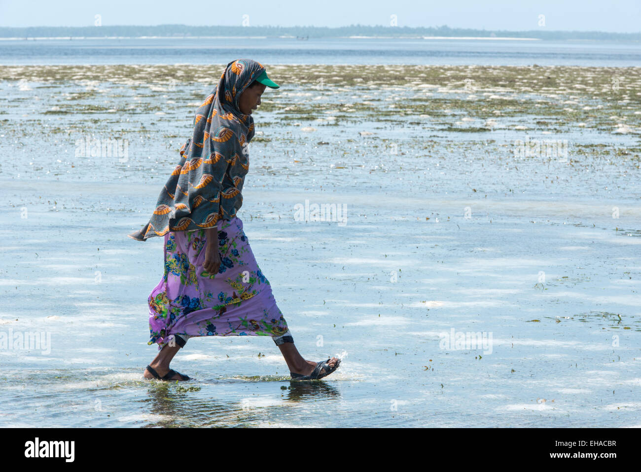 Zanzibar, Chwaka, Fisherman's Village, Woman Stock Photo - Alamy
