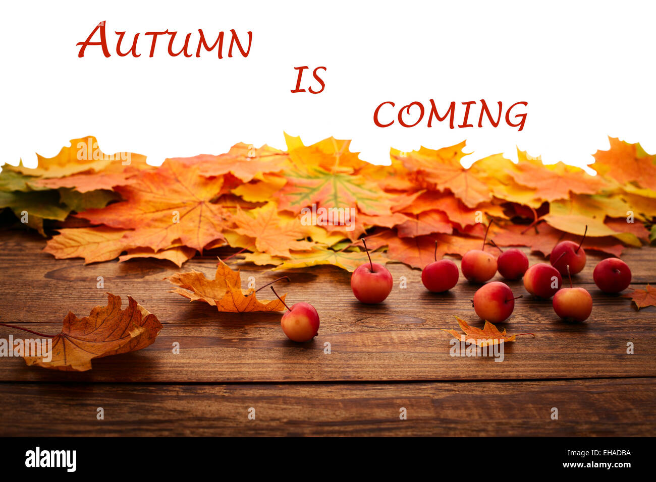 Autumn leaves on wooden table Stock Photo - Alamy