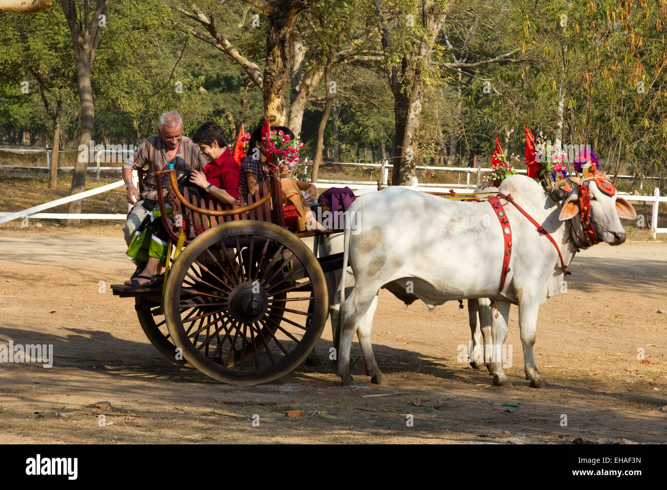 Bullock cart Bagan Myanmar Stock Photo - Alamy