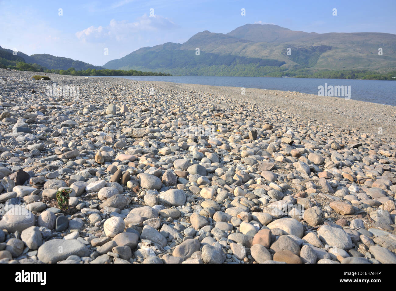 The edge of Loch Lomond in Scotland Stock Photo - Alamy