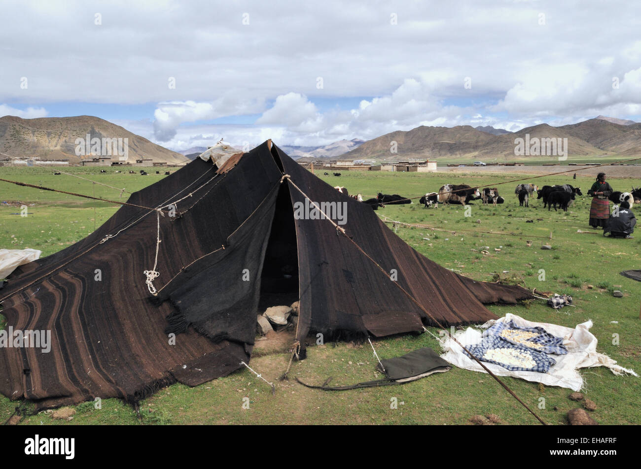 Goat Herder Tent