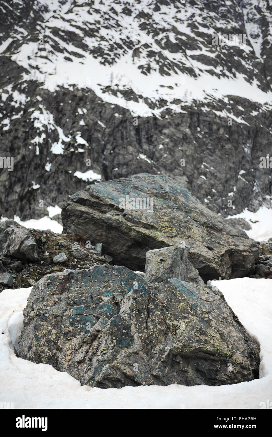 Lichen-covered boulders in snow, Ecrins National Park, French Alps ...