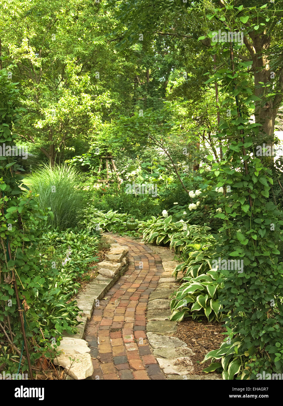 Brick pathway through Shade Garden with Hosta Stock Photo - Alamy